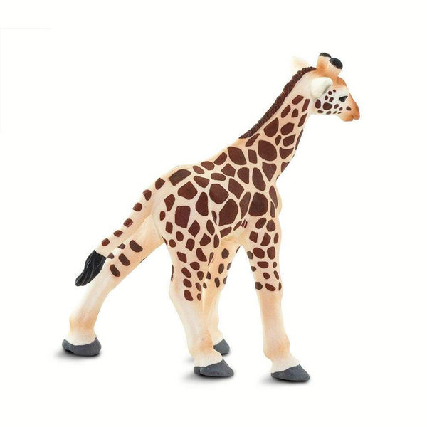 Safari Ltd Giraffe Baby – Animal Kingdoms Toy Store