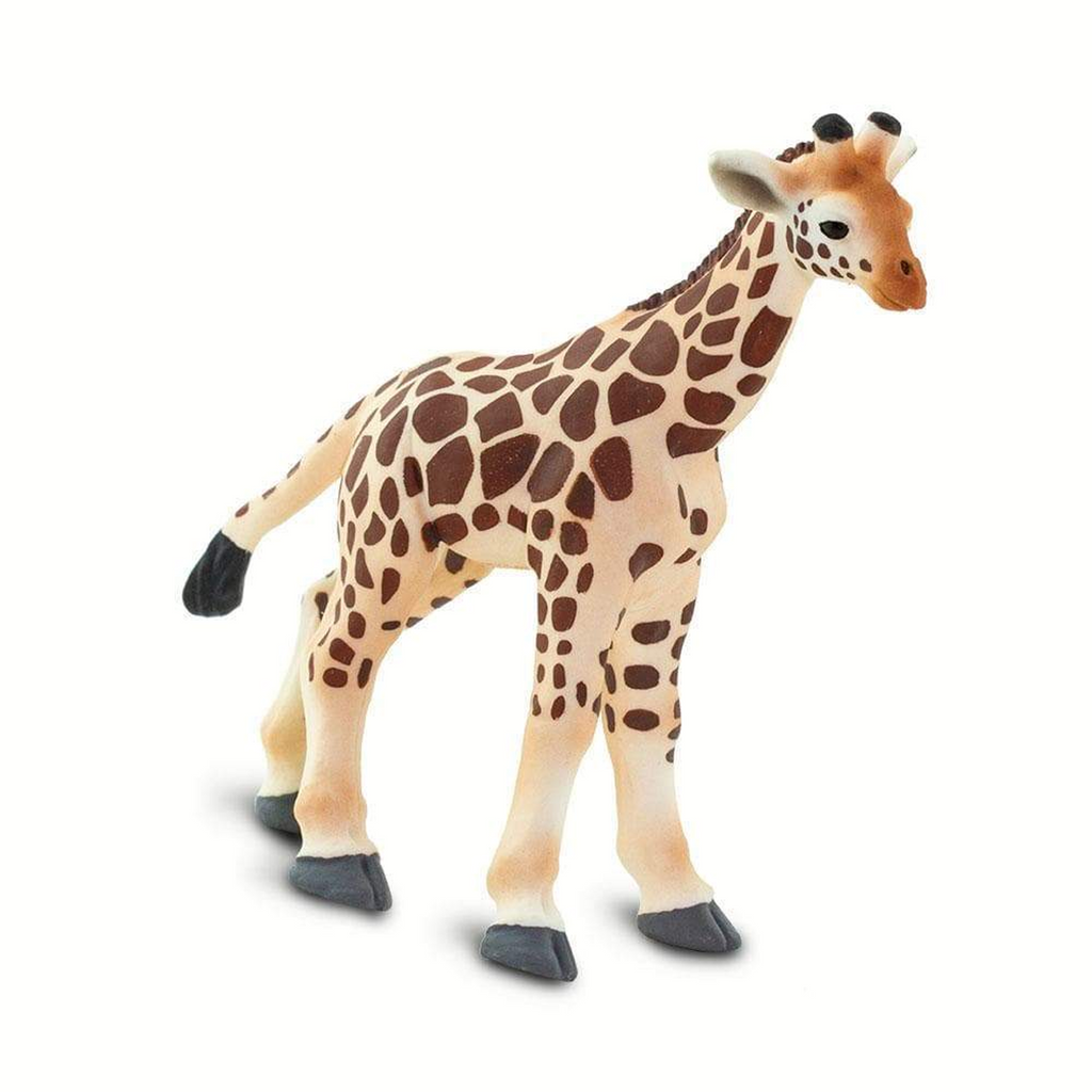 Safari Ltd Giraffe Baby – Animal Kingdoms Toy Store