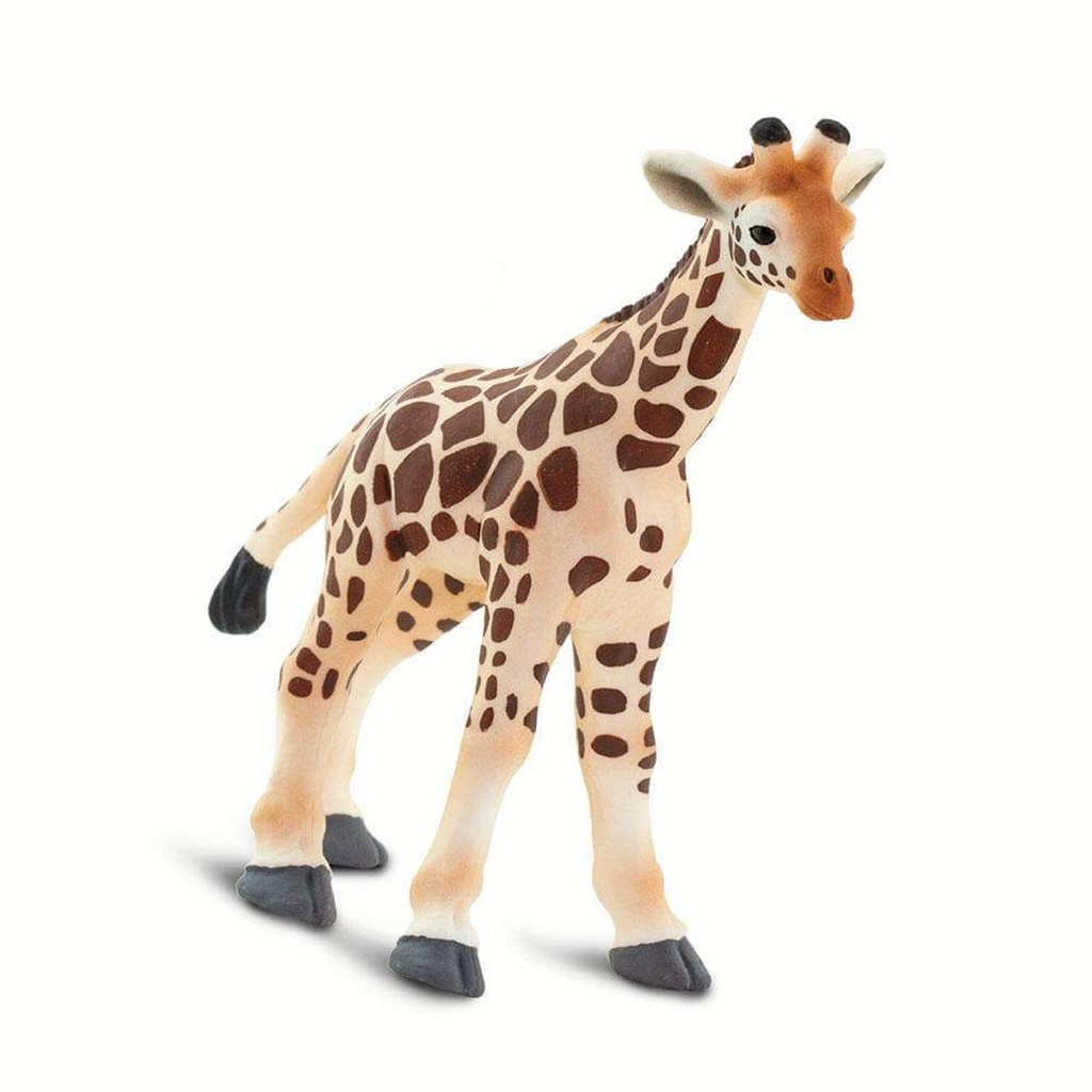 Safari Ltd Giraffe Baby – Animal Kingdoms Toy Store