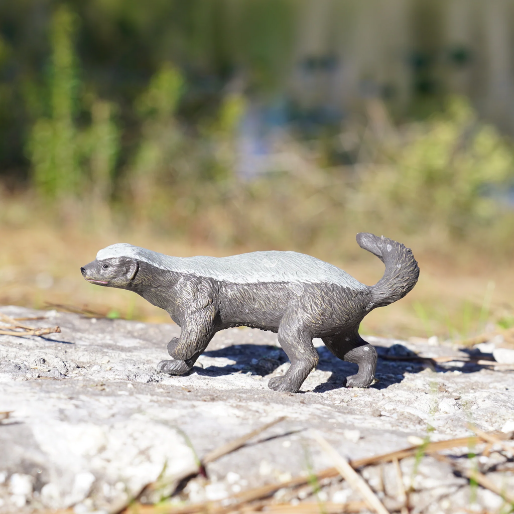 Safari Ltd Honey Badger – Animal Kingdoms Toy Store