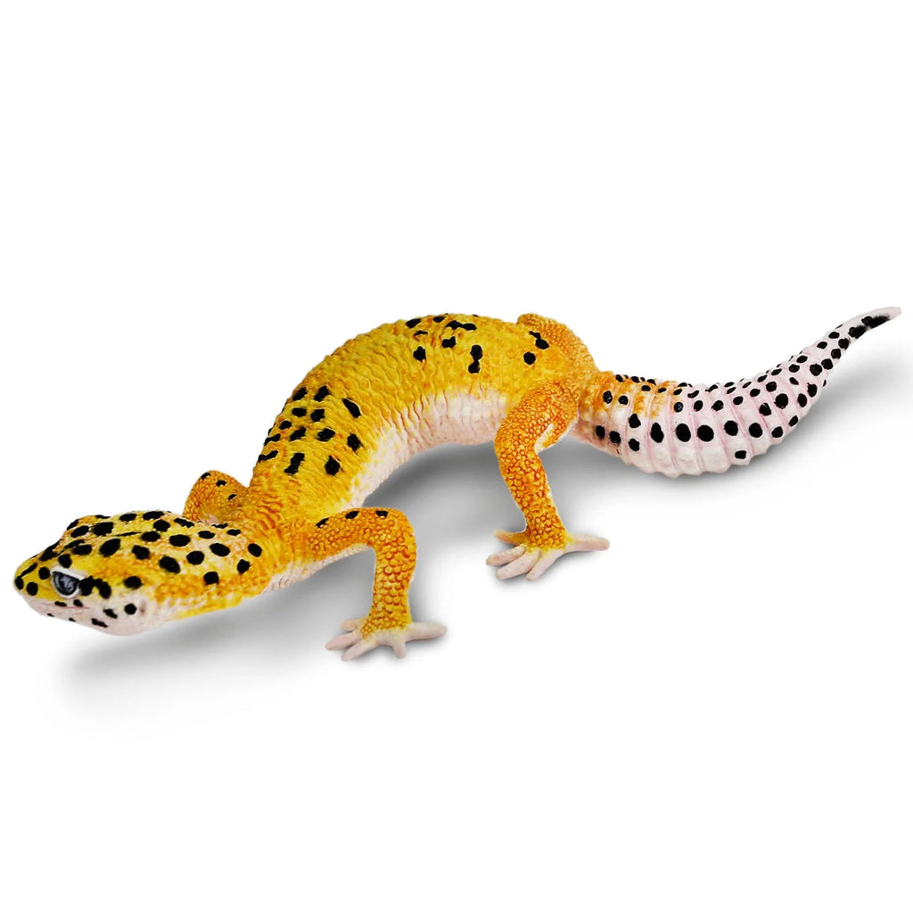 Safari Ltd Leopard Gecko XL – Animal Kingdoms Toy Store