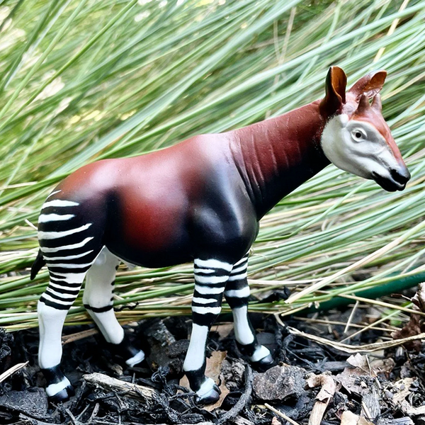 Safari Ltd Okapi Adult – Animal Kingdoms Toy Store