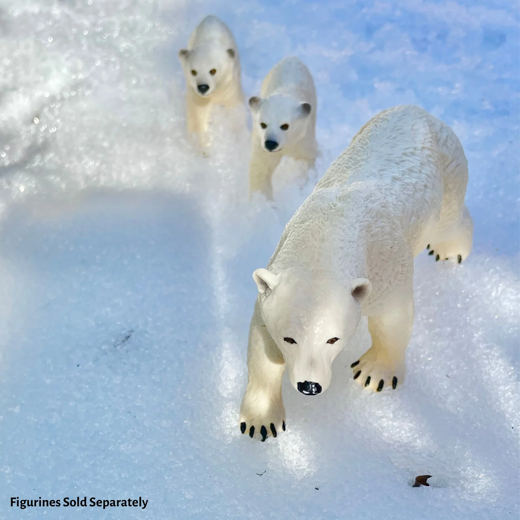 Safari Ltd Polar Bear – Animal Kingdoms Toy Store
