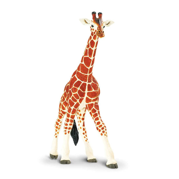 Safari Ltd Reticulated Giraffe XL – Animal Kingdoms Toy Store
