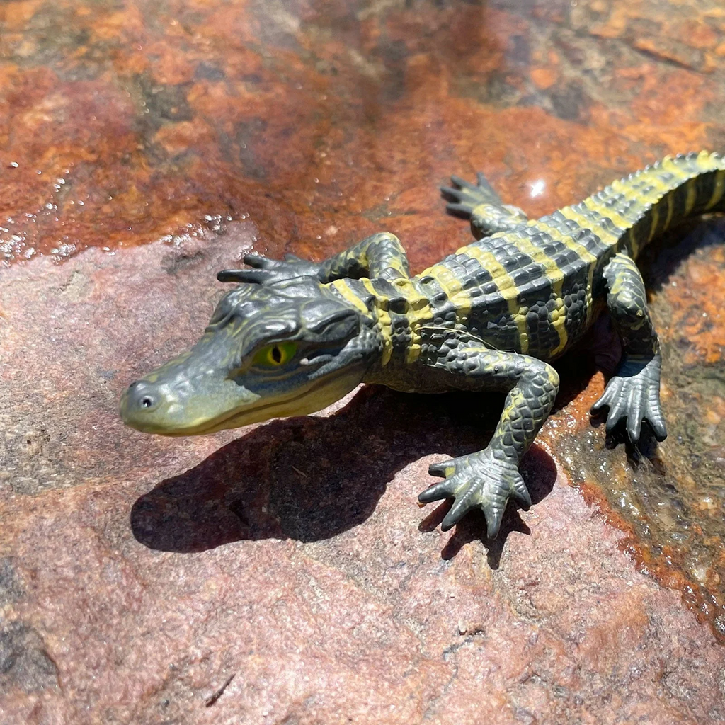 Safari Ltd Alligator Baby – Animal Kingdoms Toy Store