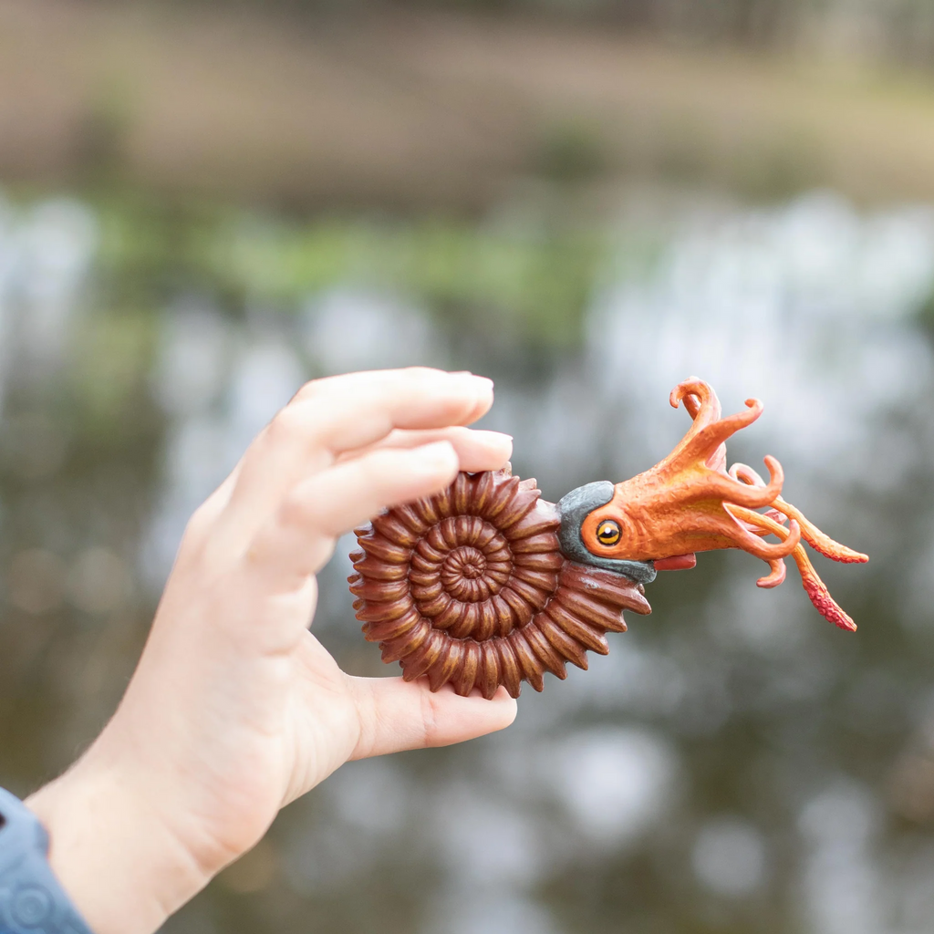 Safari Ltd Ammonite – Animal Kingdoms Toy Store
