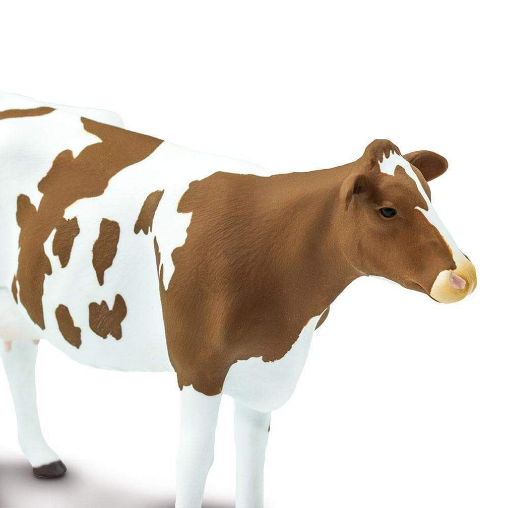 Safari Ltd Ayrshire Cow – Animal Kingdoms Toy Store