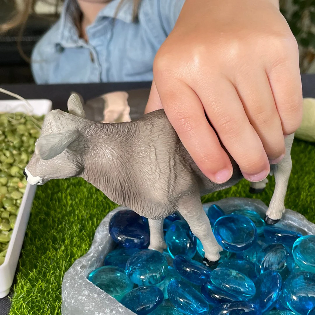 Safari Ltd Brown Swiss Cow – Animal Kingdoms Toy Store