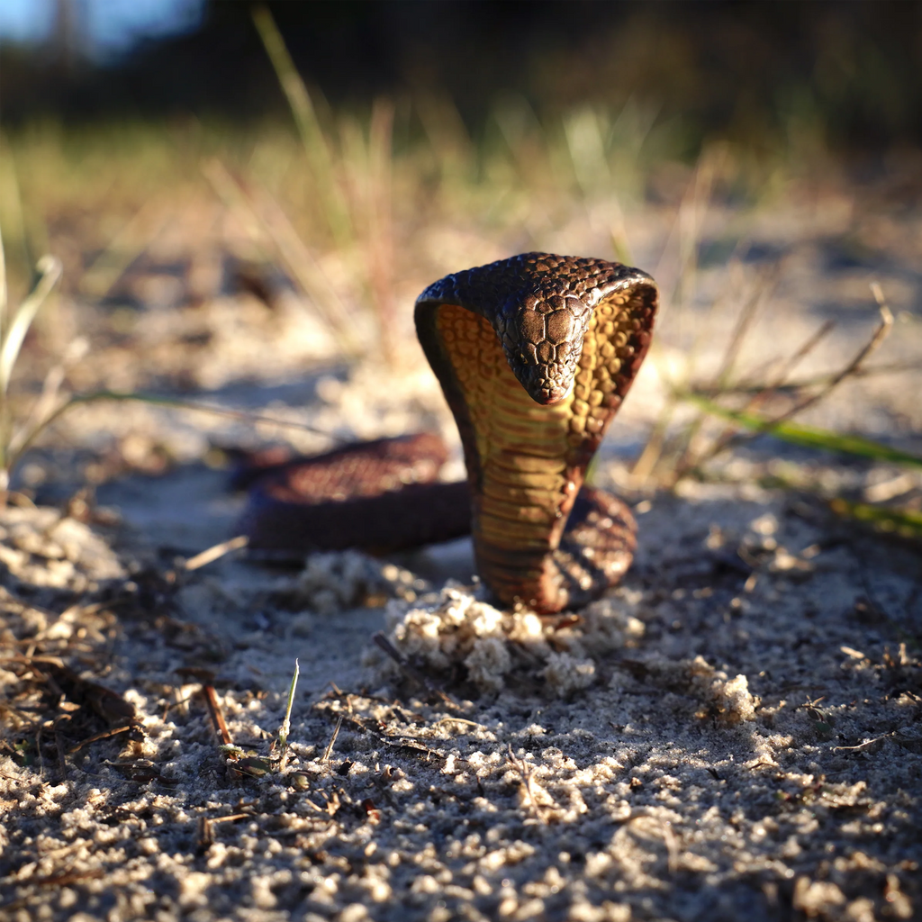 Safari Ltd Cobra – Animal Kingdoms Toy Store