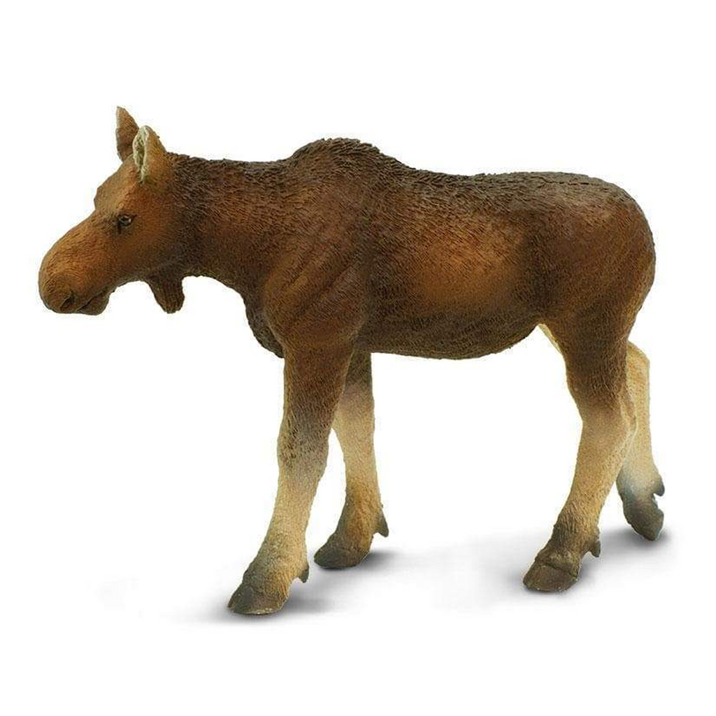 Safari Ltd Cow Moose – Animal Kingdoms Toy Store