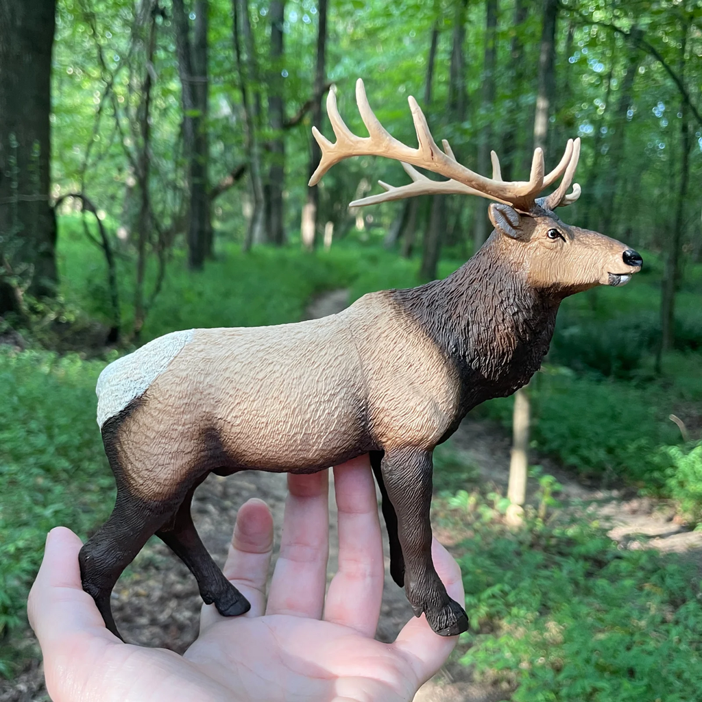 Safari Ltd Elk – Animal Kingdoms Toy Store