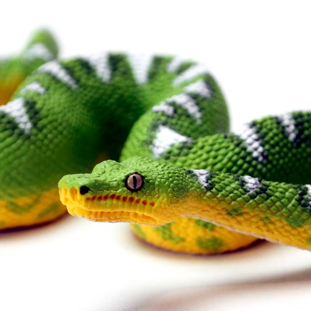 Safari Ltd Emerald Tree Boa XL – Animal Kingdoms Toy Store