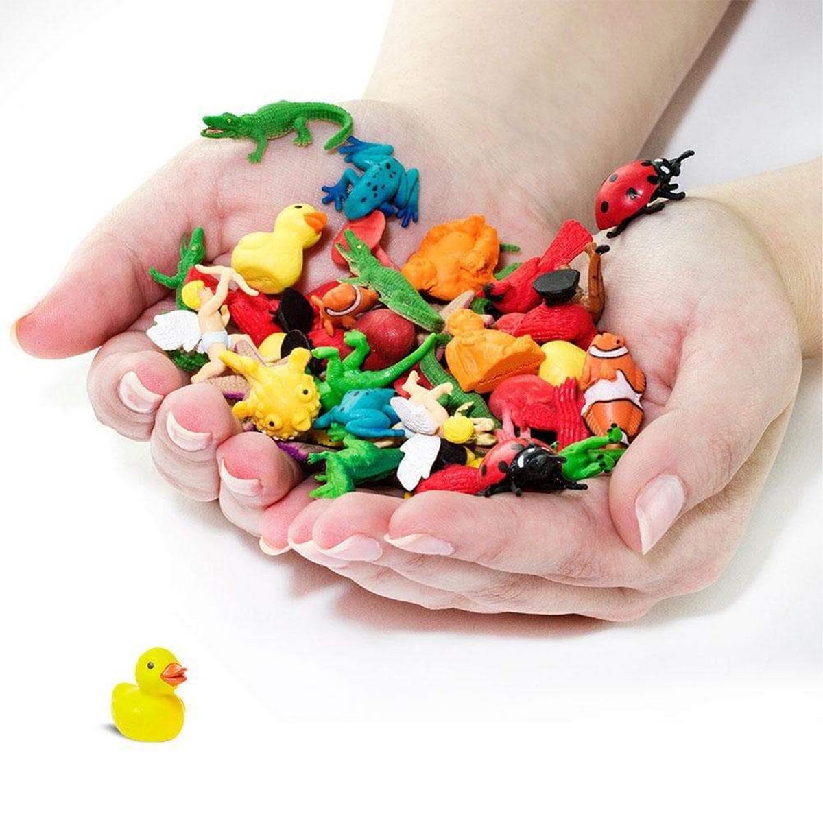 Safari Ltd Good Luck Mini Duckie – Animal Kingdoms Toy Store