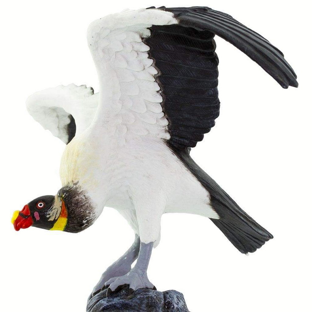Safari Ltd King Vulture – Animal Kingdoms Toy Store