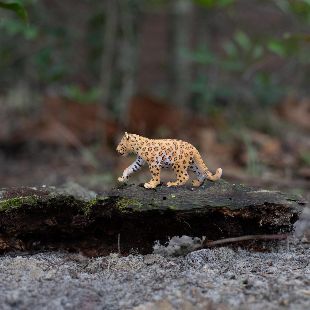 Safari Ltd Leopard Cub – Animal Kingdoms Toy Store