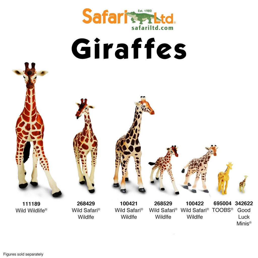 Safari Ltd Reticulated Giraffe – Animal Kingdoms Toy Store