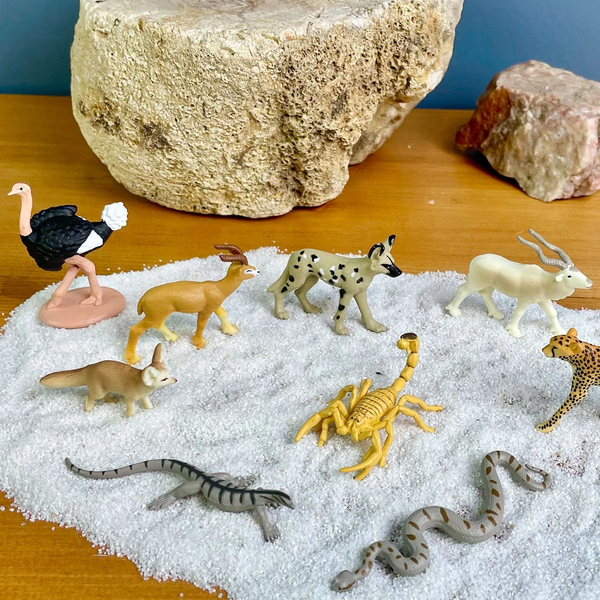 Safari Ltd Sahara Desert Animals Toob – Animal Kingdoms Toy Store