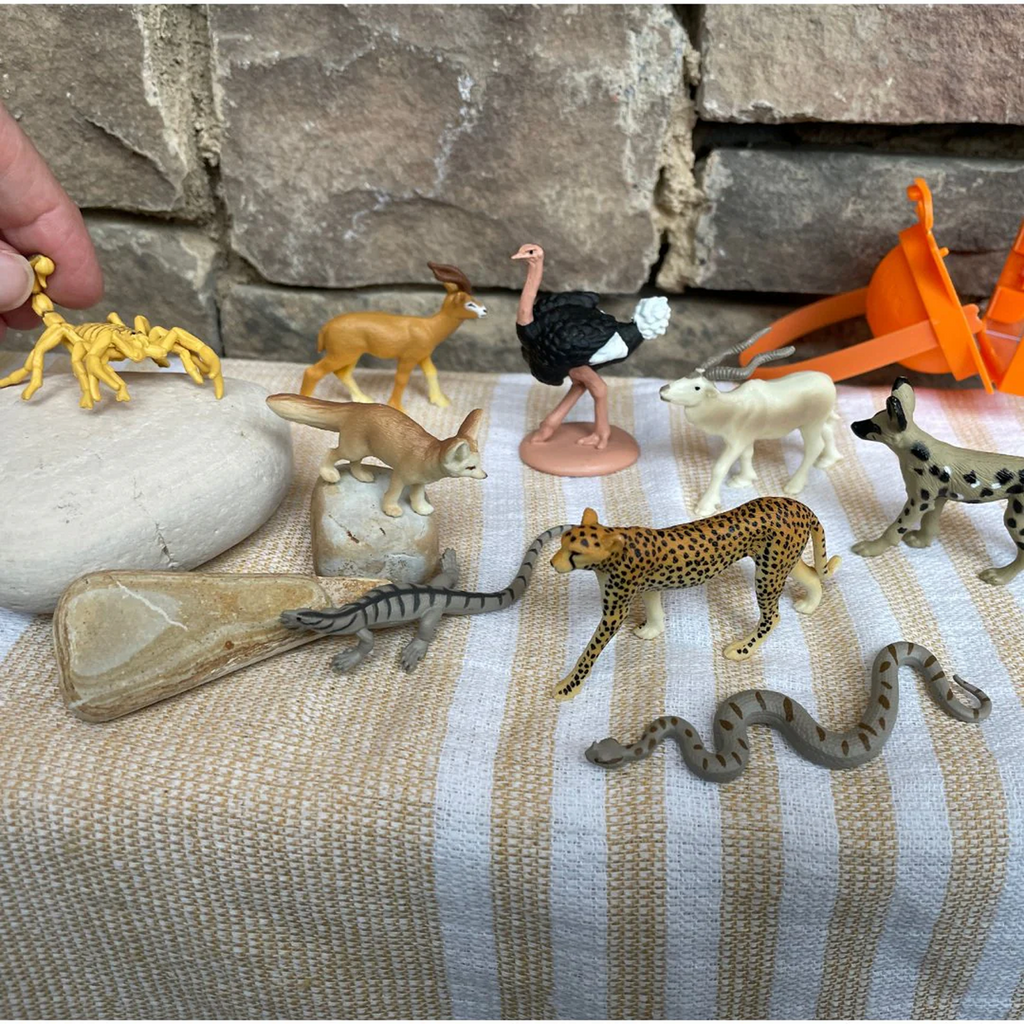 Safari Ltd Sahara Desert Animals Toob – Animal Kingdoms Toy Store