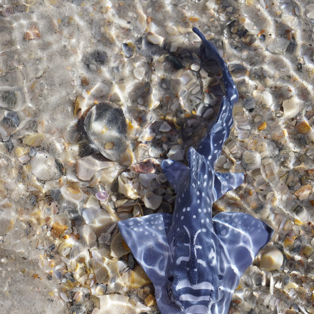 Safari Ltd Shark Ray – Animal Kingdoms Toy Store