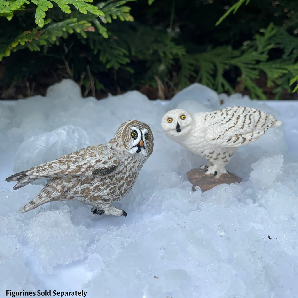 Safari Ltd Snowy Owl – Animal Kingdoms Toy Store