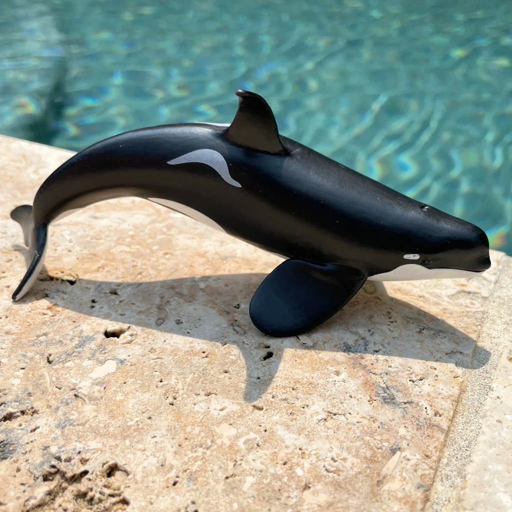 Safari Ltd Type D Orca – Animal Kingdoms Toy Store