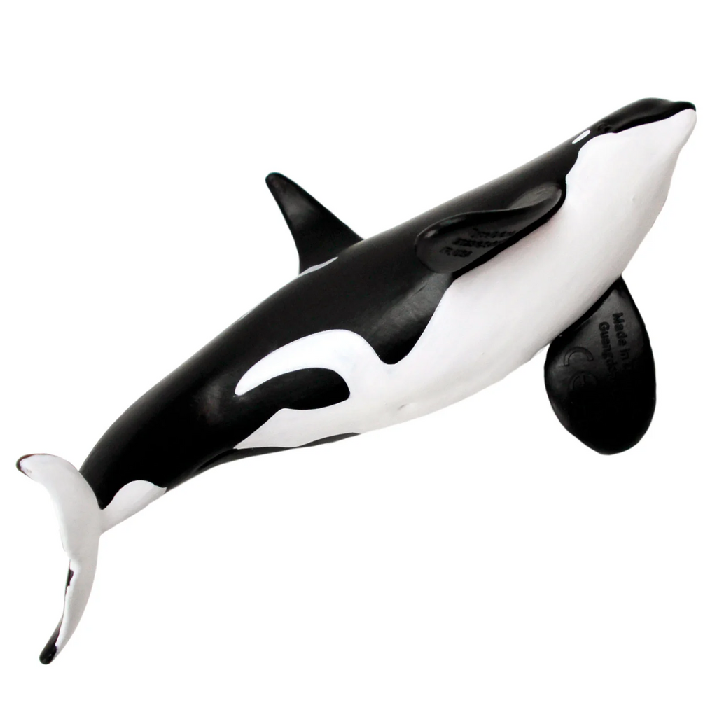 Safari Ltd Type D Orca – Animal Kingdoms Toy Store