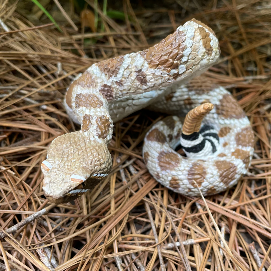 Safari Ltd Western Diamondback Rattlesnake XL – Animal Kingdoms Toy Store