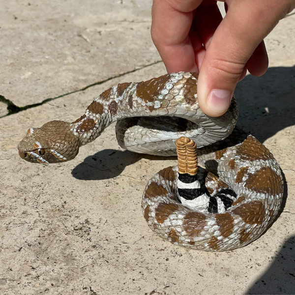 Safari Ltd Western Diamondback Rattlesnake XL – Animal Kingdoms Toy Store