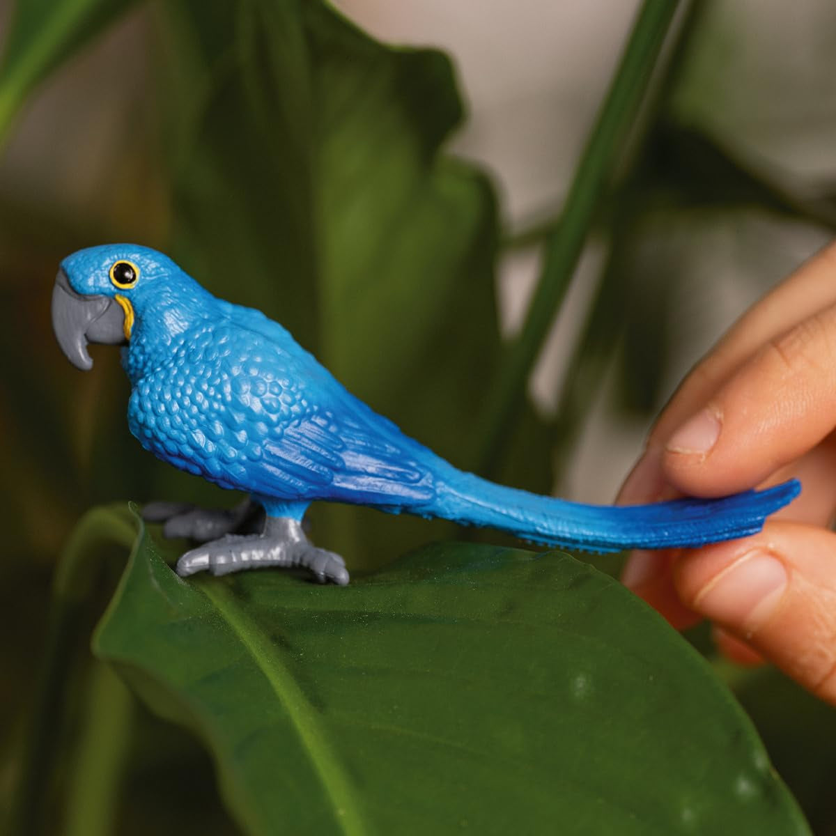 Schleich Hyacinth Macaw – Animal Kingdoms Toy Store