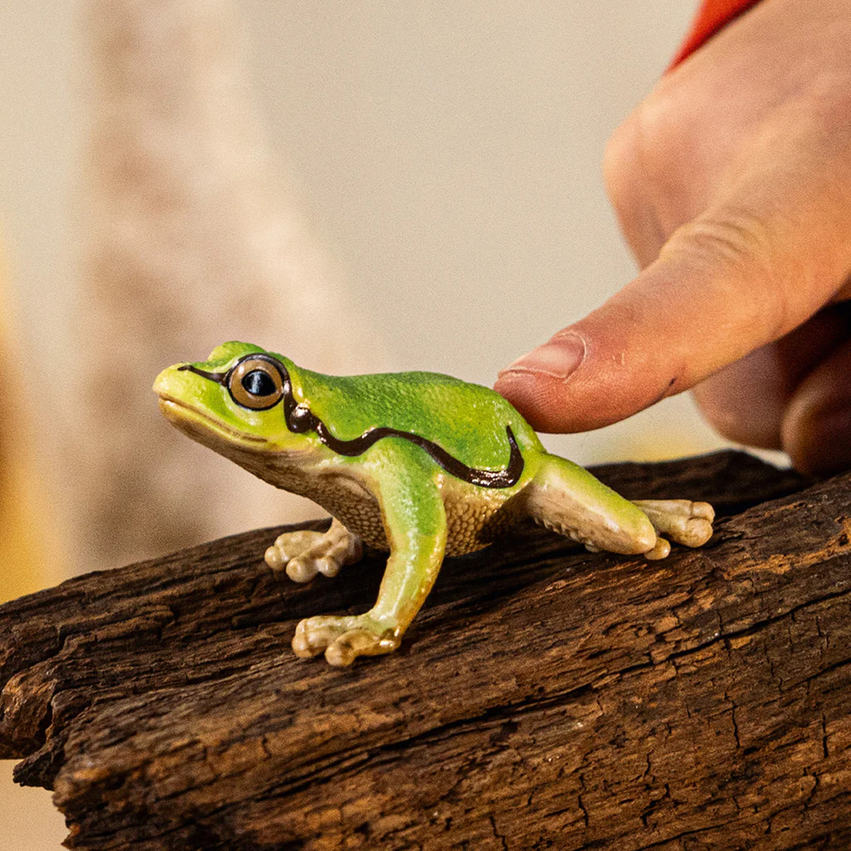 Schleich European Tree Frog – Animal Kingdoms Toy Store