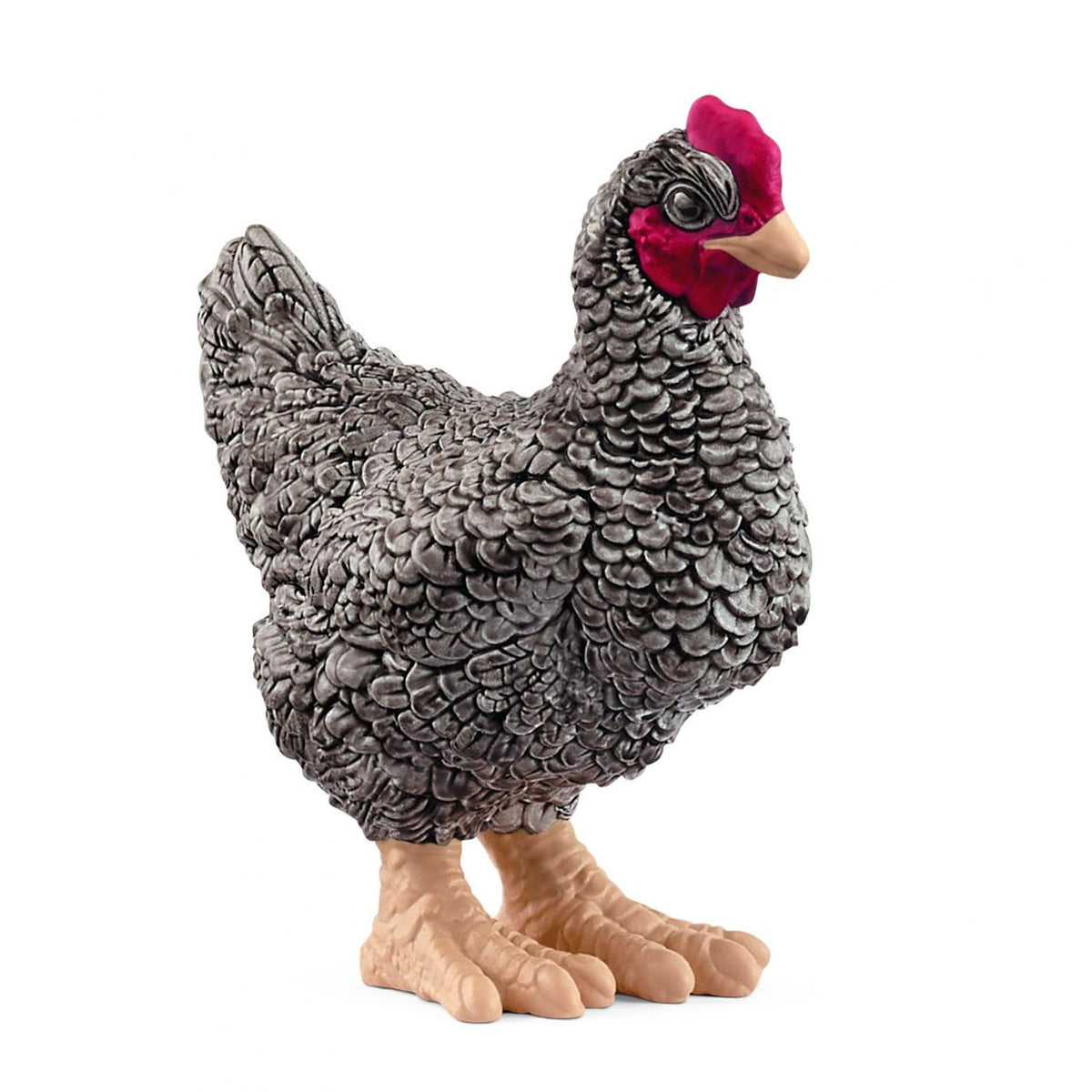 Schleich Plymouth Rock Chicken – Animal Kingdoms Toy Store