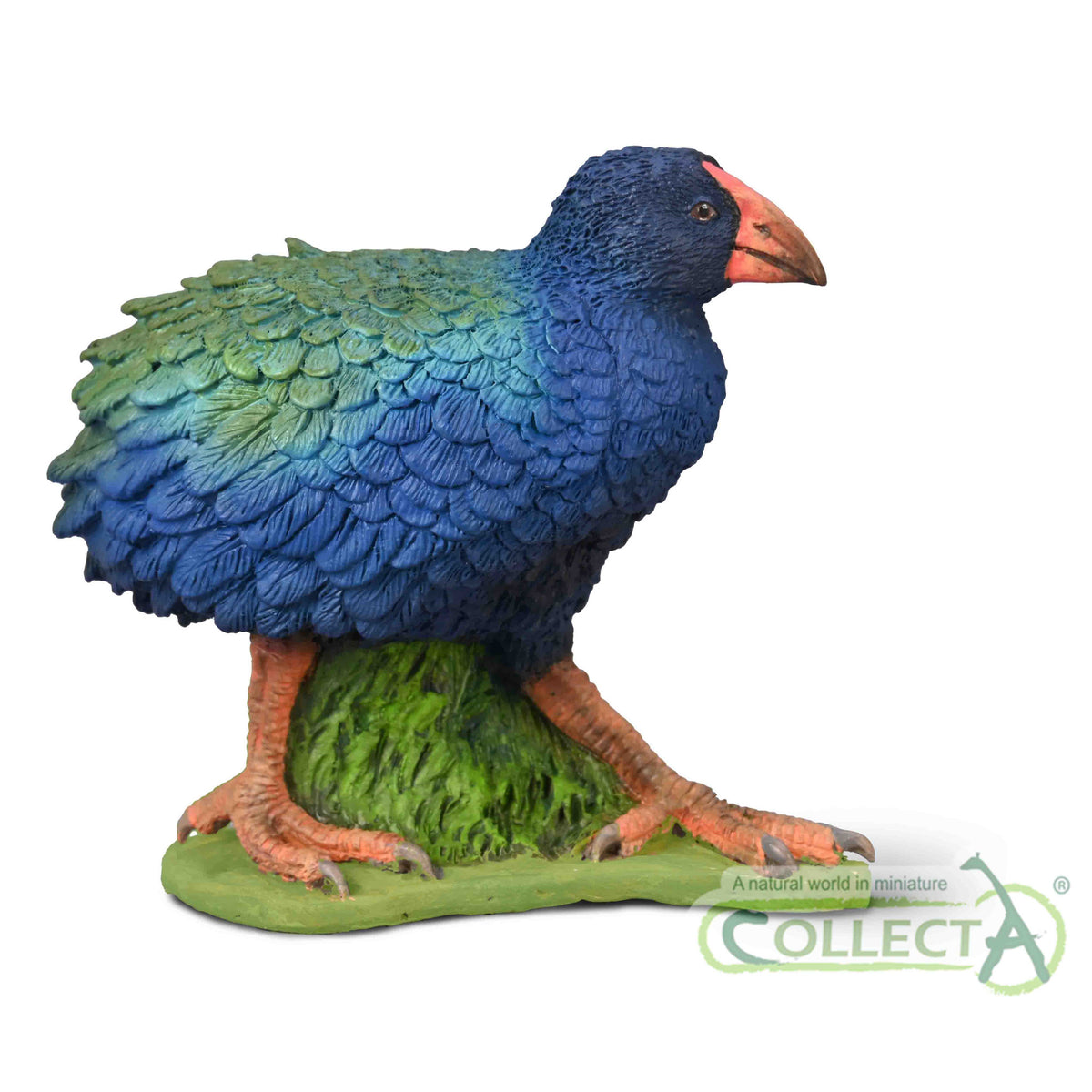 CollectA Takahe – Animal Kingdoms Toy Store