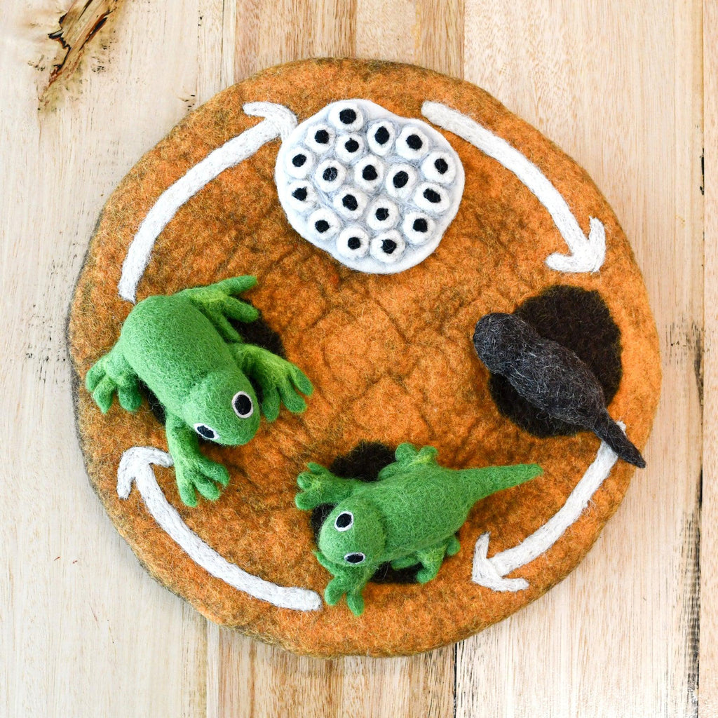 Tara Treasures: Felt Lifecycle of a Frog – Animal Kingdoms Toy Store