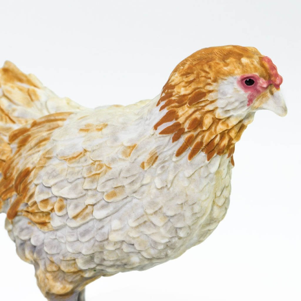 Safari Ltd Ameraucana Chicken – Animal Kingdoms Toy Store
