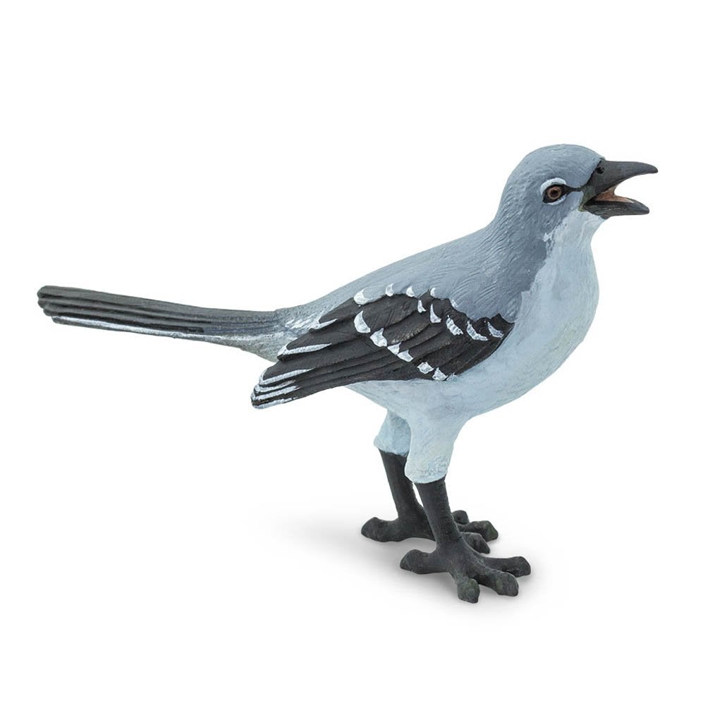 Safari Ltd Mockingbird – Animal Kingdoms Toy Store