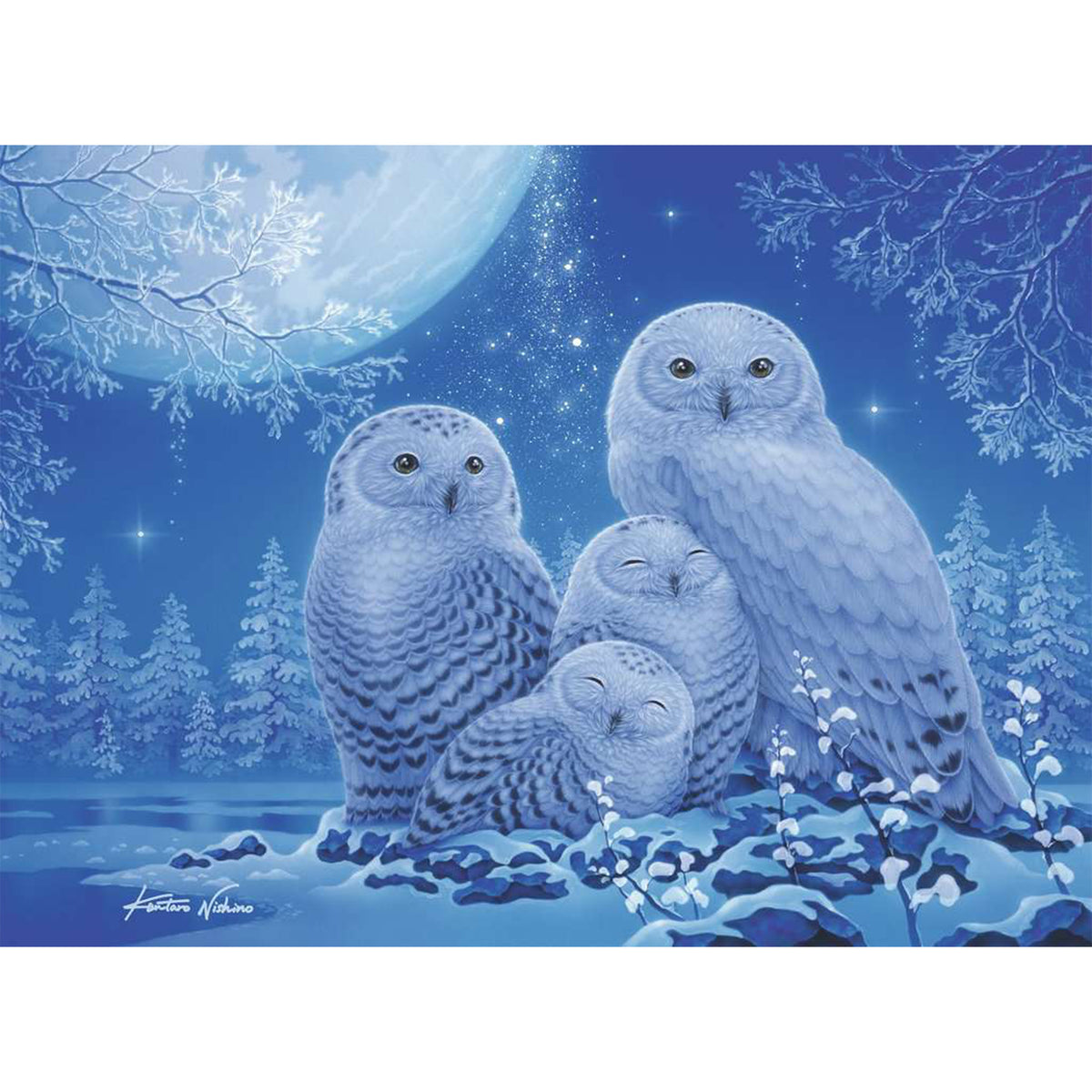 Ravensburger Owls In The Moonlight Starline 500pc – Animal Kingdoms Toy ...