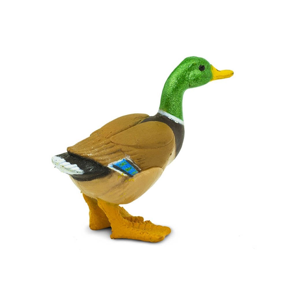 Safari Ltd Duck – Animal Kingdoms Toy Store