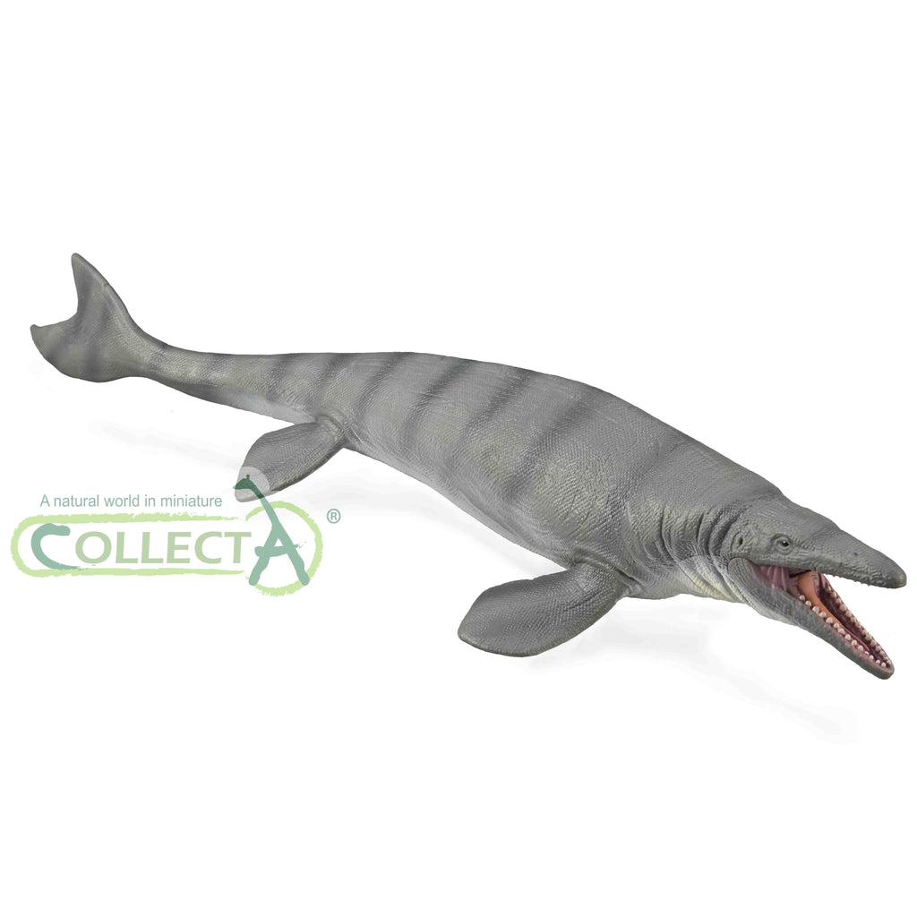 CollectA Mosasaurus 1:40 scale – Animal Kingdoms Toy Store