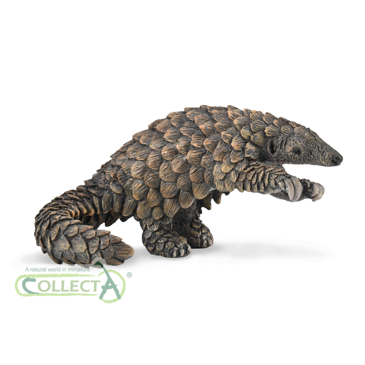 CollectA Pangolin – Animal Kingdoms Toy Store