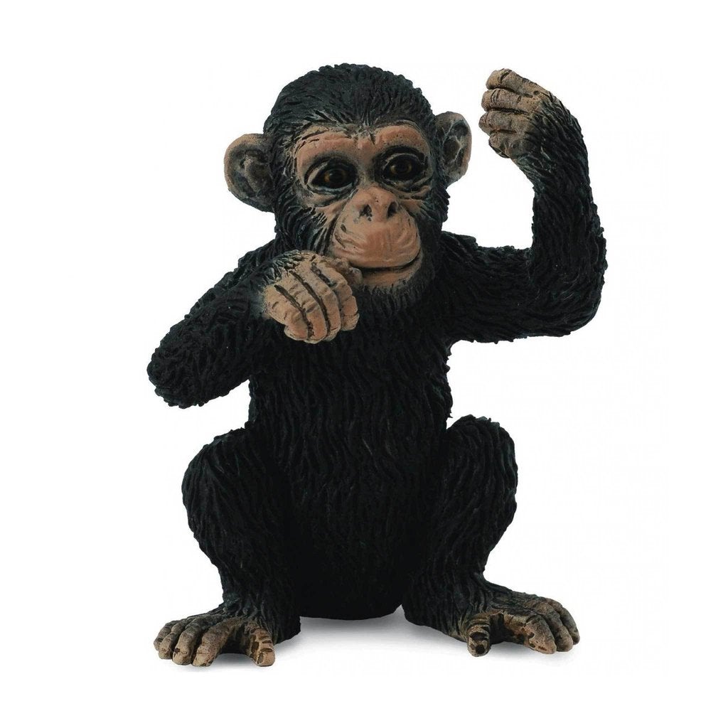 CollectA Chimpanzee Cub Thinking – Animal Kingdoms Toy Store