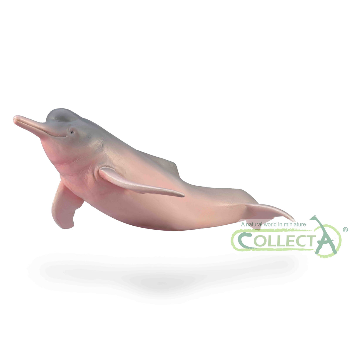 CollectA Amazon River Dolphin – Animal Kingdoms Toy Store
