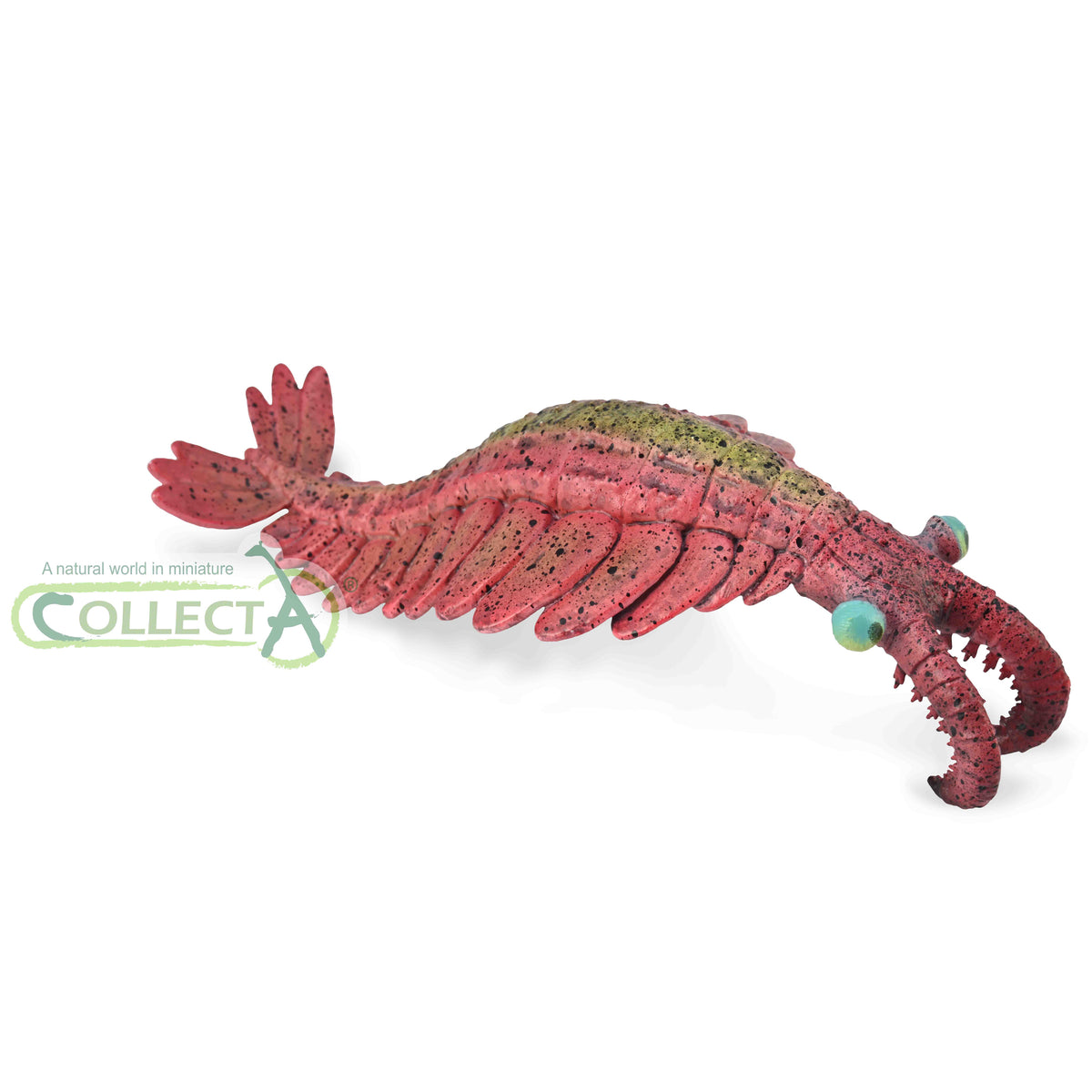 CollectA Anomalocaris – Animal Kingdoms Toy Store