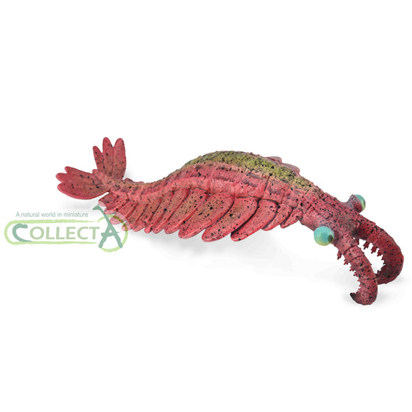 CollectA 2023 – Animal Kingdoms Toy Store