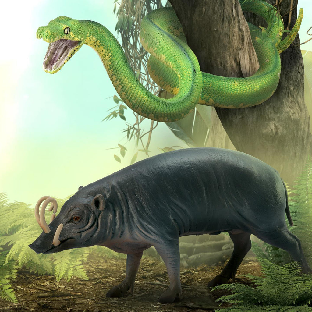 CollectA Green Tree Python – Animal Kingdoms Toy Store