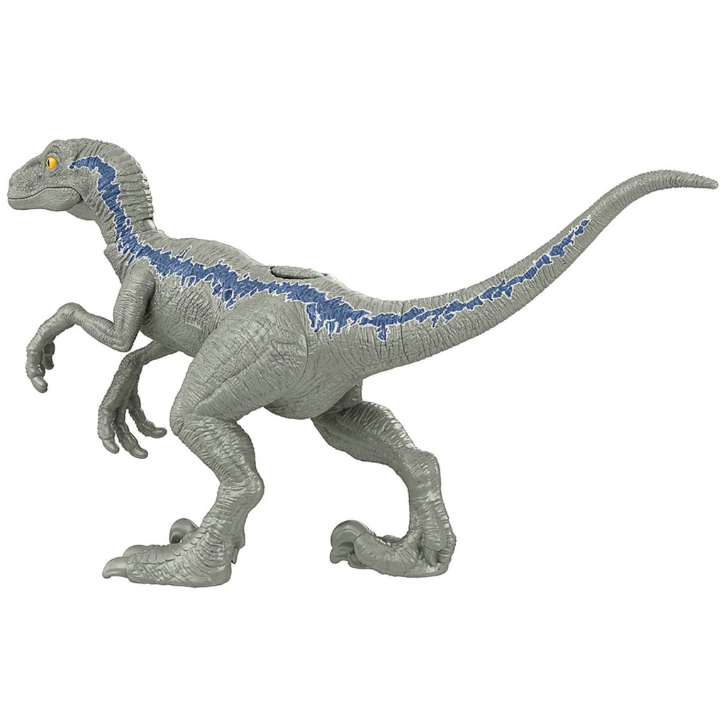 Jurassic World Ferocious Pack Velociraptor Blue – Animal Kingdoms Toy Store