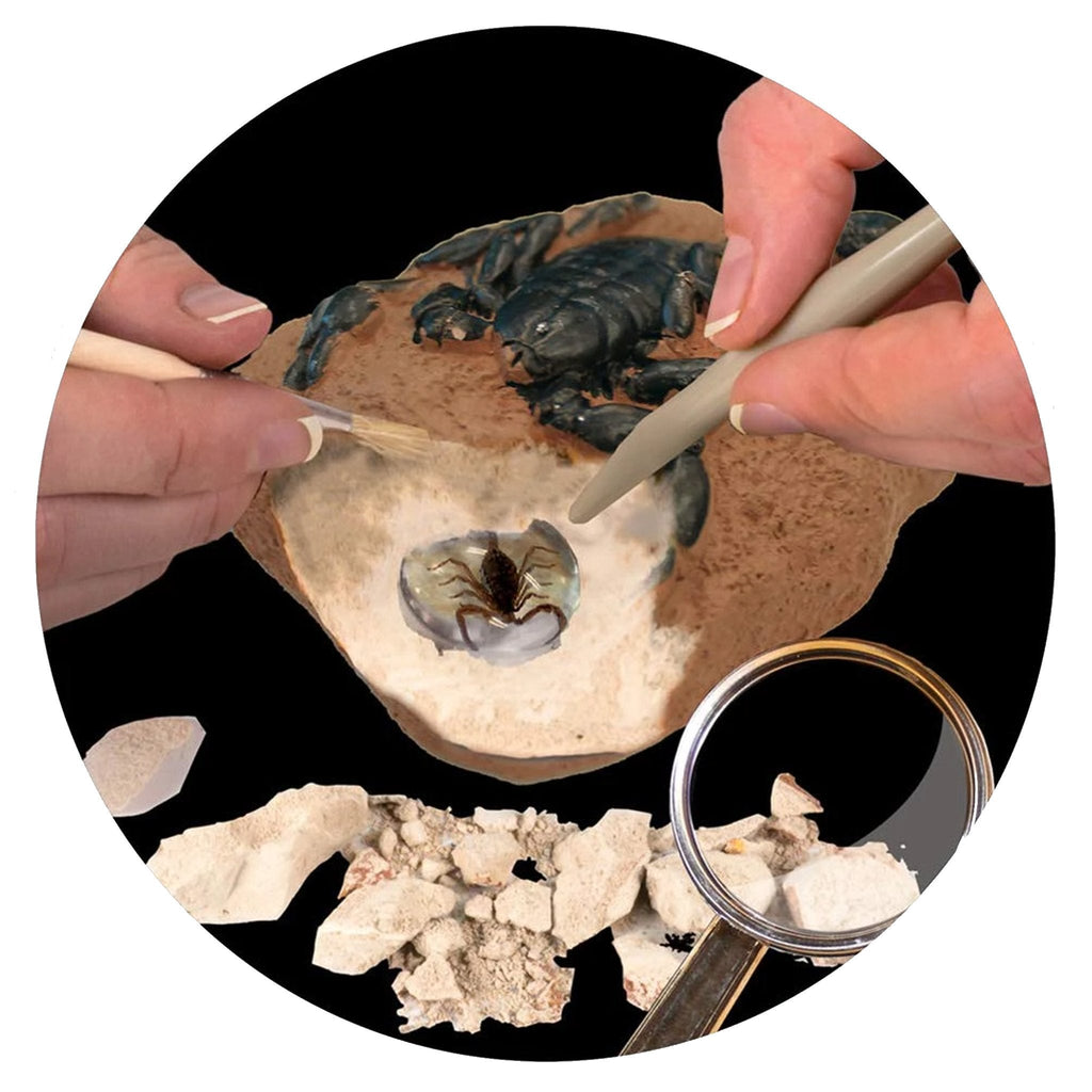 National Geographic - Real Bug Dig Kit – Animal Kingdoms Toy Store