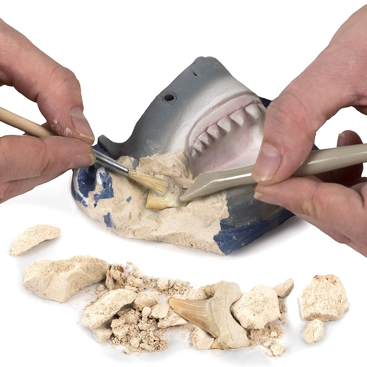 National Geographic - Shark Tooth Mini Dig Kit – Animal Kingdoms Toy Store