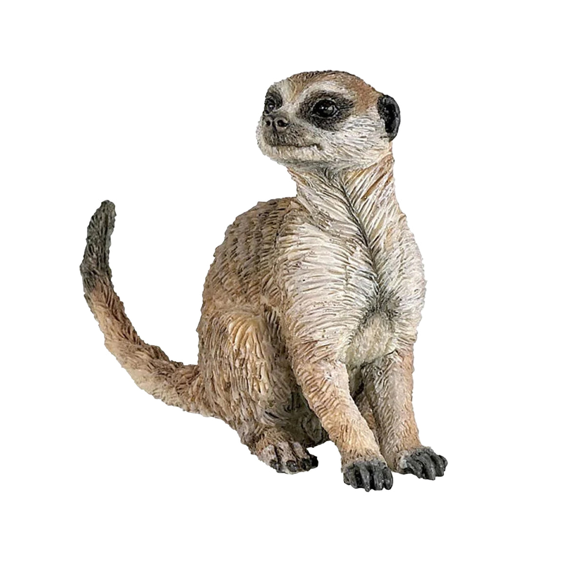 Papo Wildlife – Animal Kingdoms Toy Store