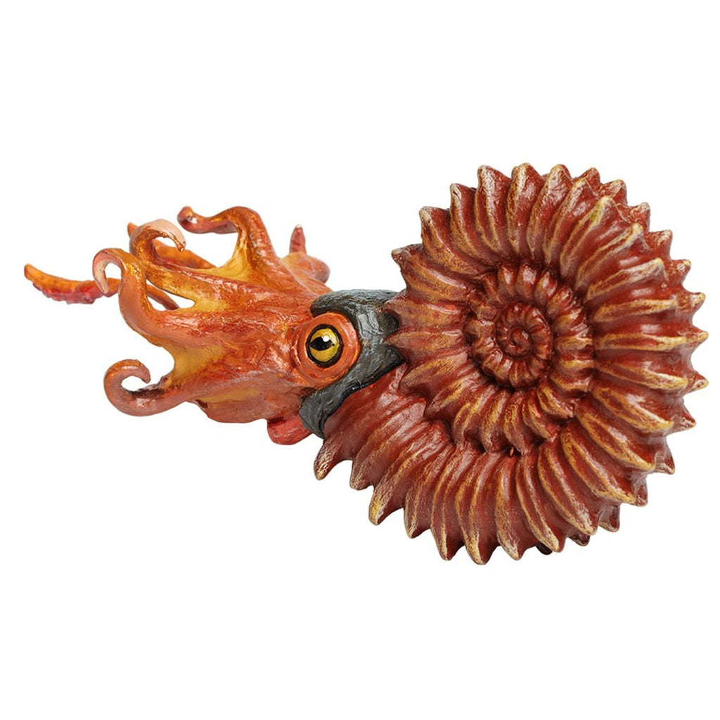 Safari Ltd Ammonite – Animal Kingdoms Toy Store