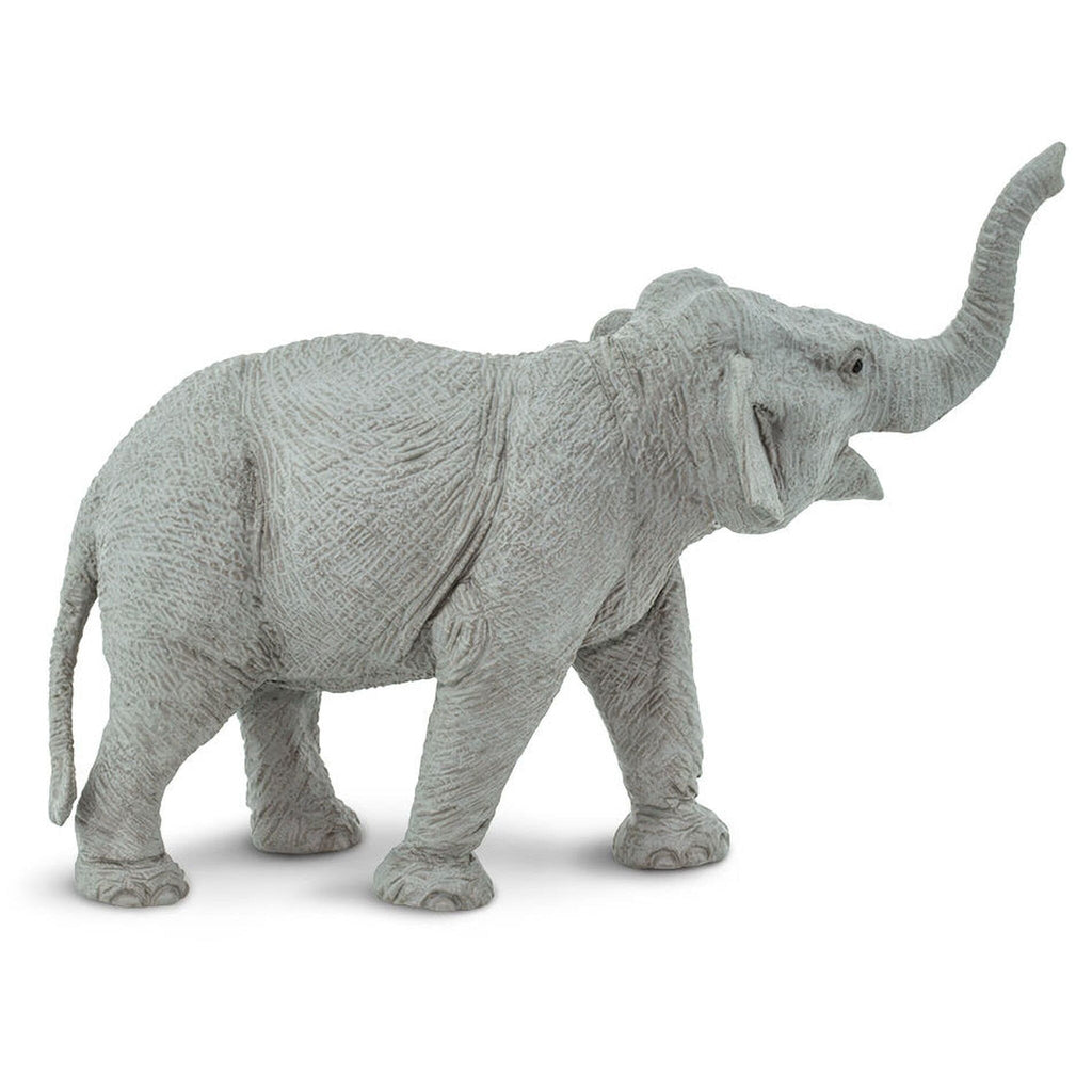 Safari Ltd Asian Elephant XL – Animal Kingdoms Toy Store